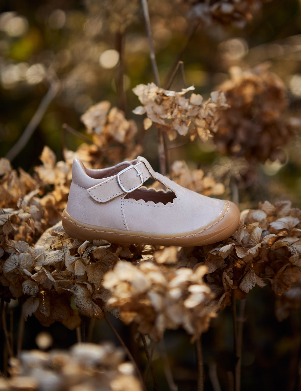 Scallop Cruiser - Cream – Petit Nord GLOBAL