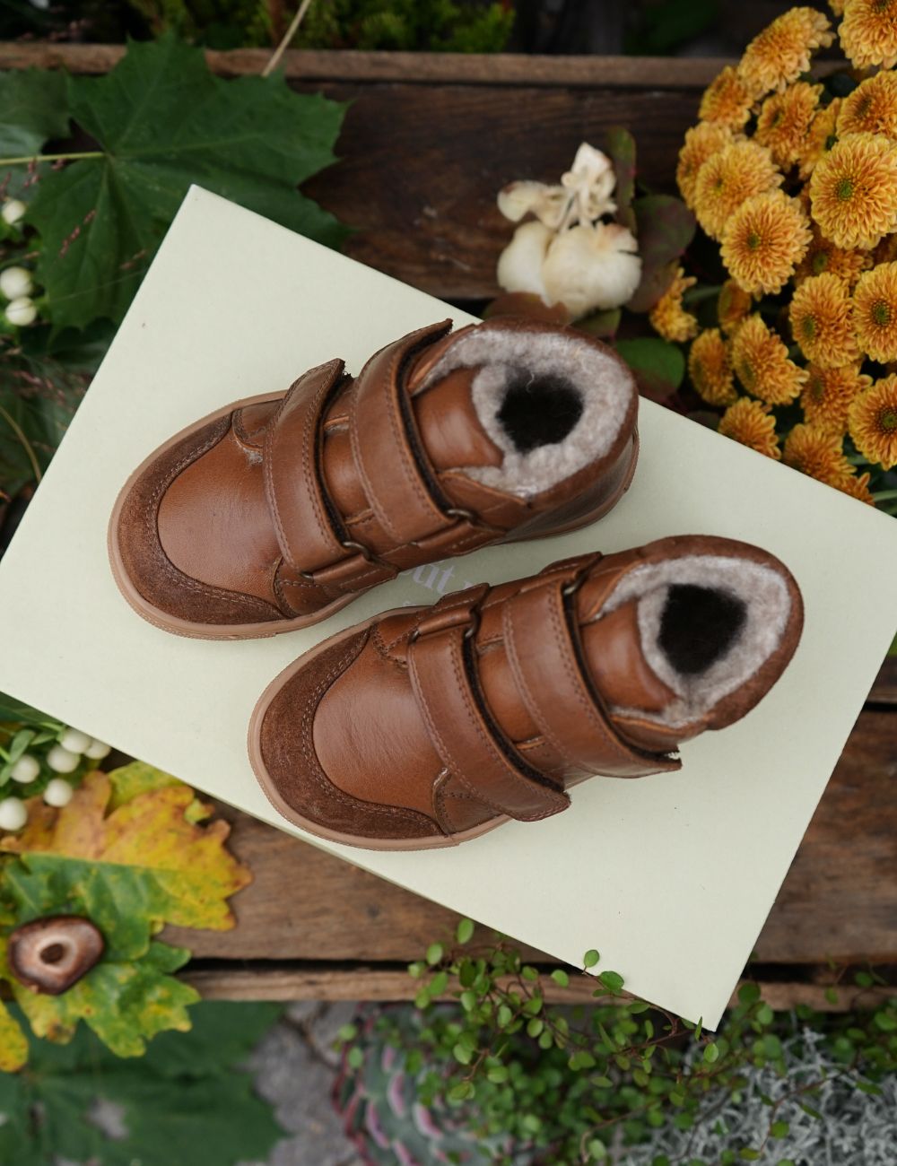 Toasty Sneaker - Hazelnut – Petit Nord GLOBAL